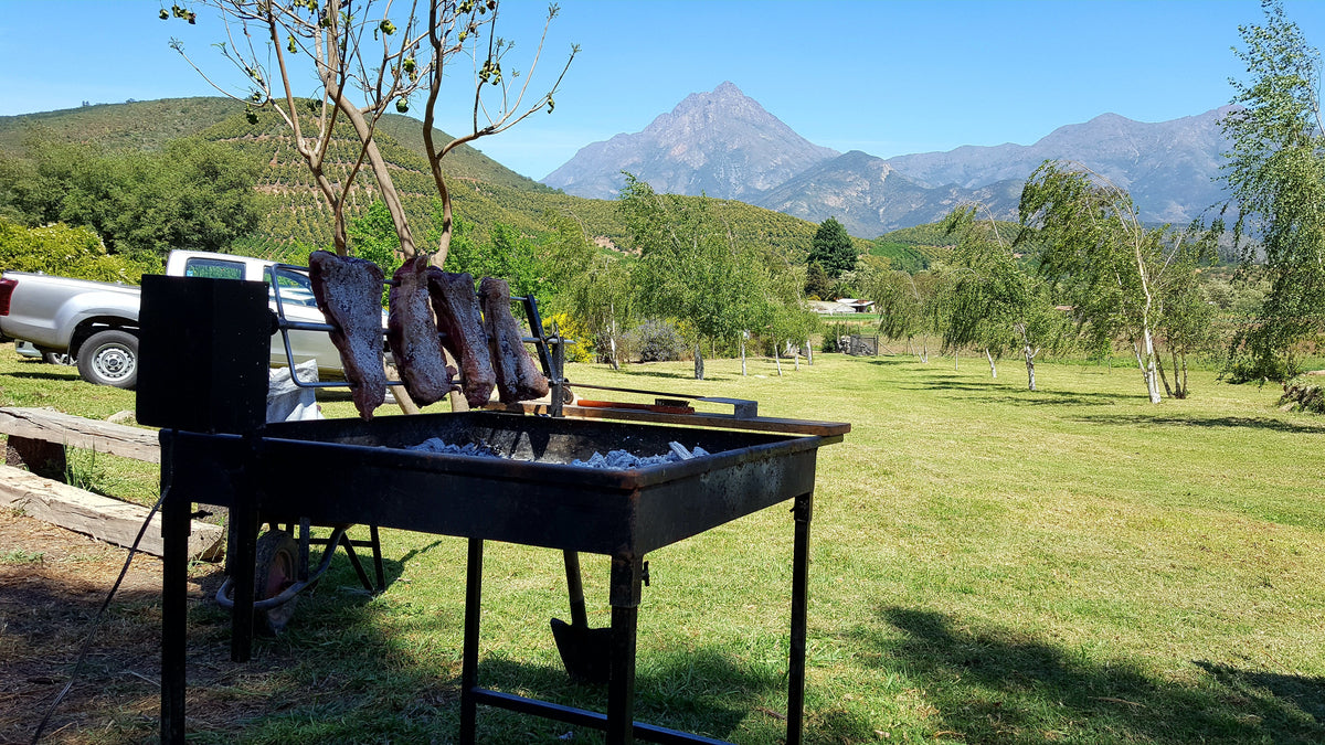 20161008_134213_1200x1200.jpg?v=1565212356